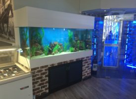 custom-fish-tank-display - Custom Fish Tanks & Aquariums